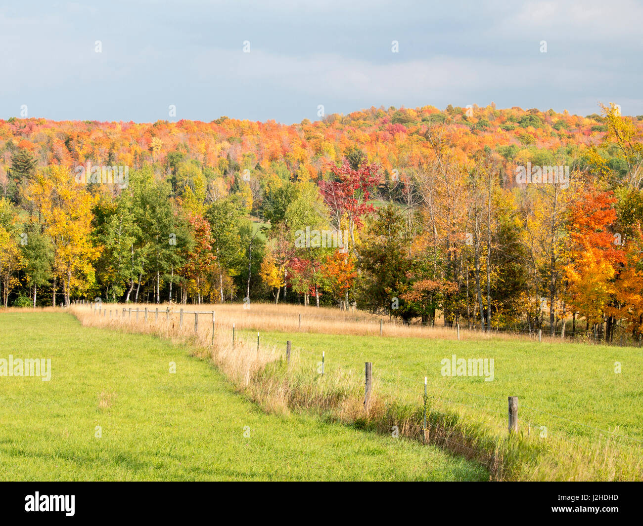 USA, Michigan, Upper Peninsula. Autumn trees along roadside Stock Photo ...
