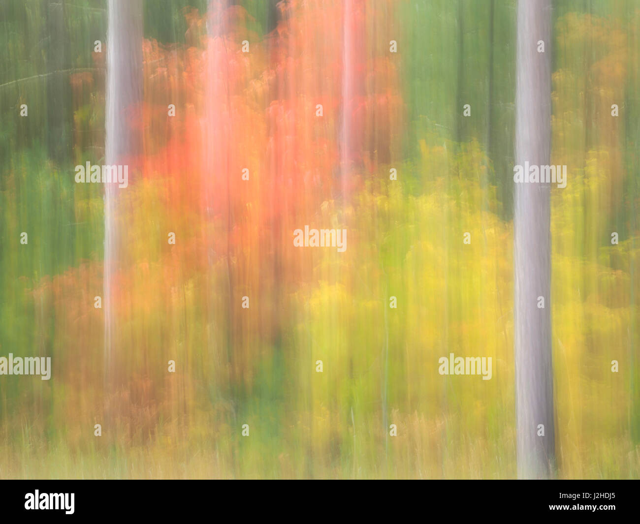 Upper peninsula a panned motion hi-res stock photography and images - Alamy