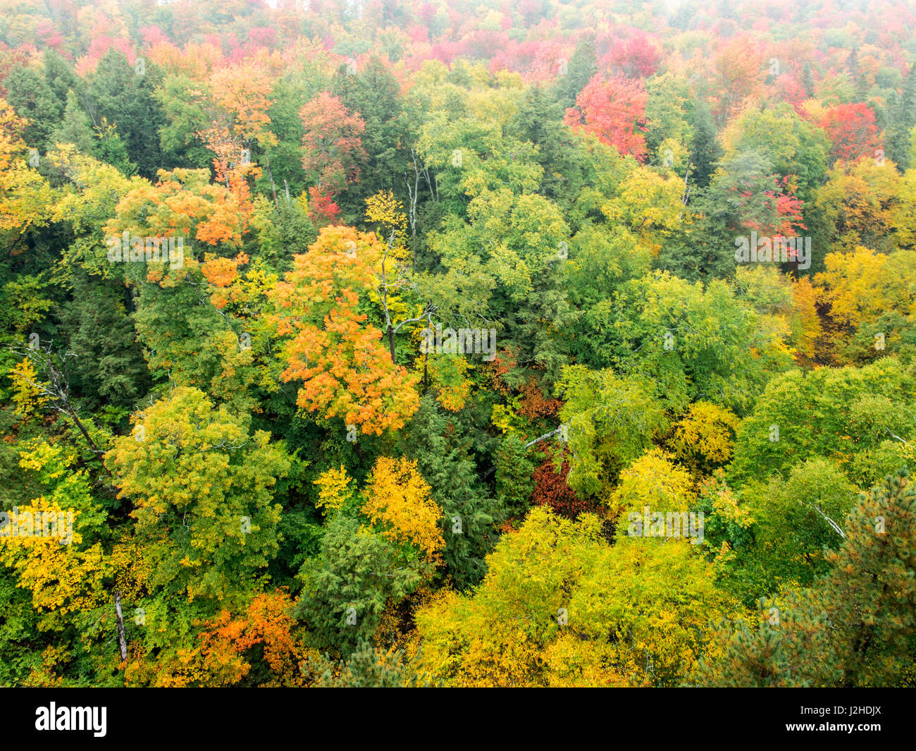 USA, Michigan, Upper Peninsula. Valley below the Cut River Bridge with ...