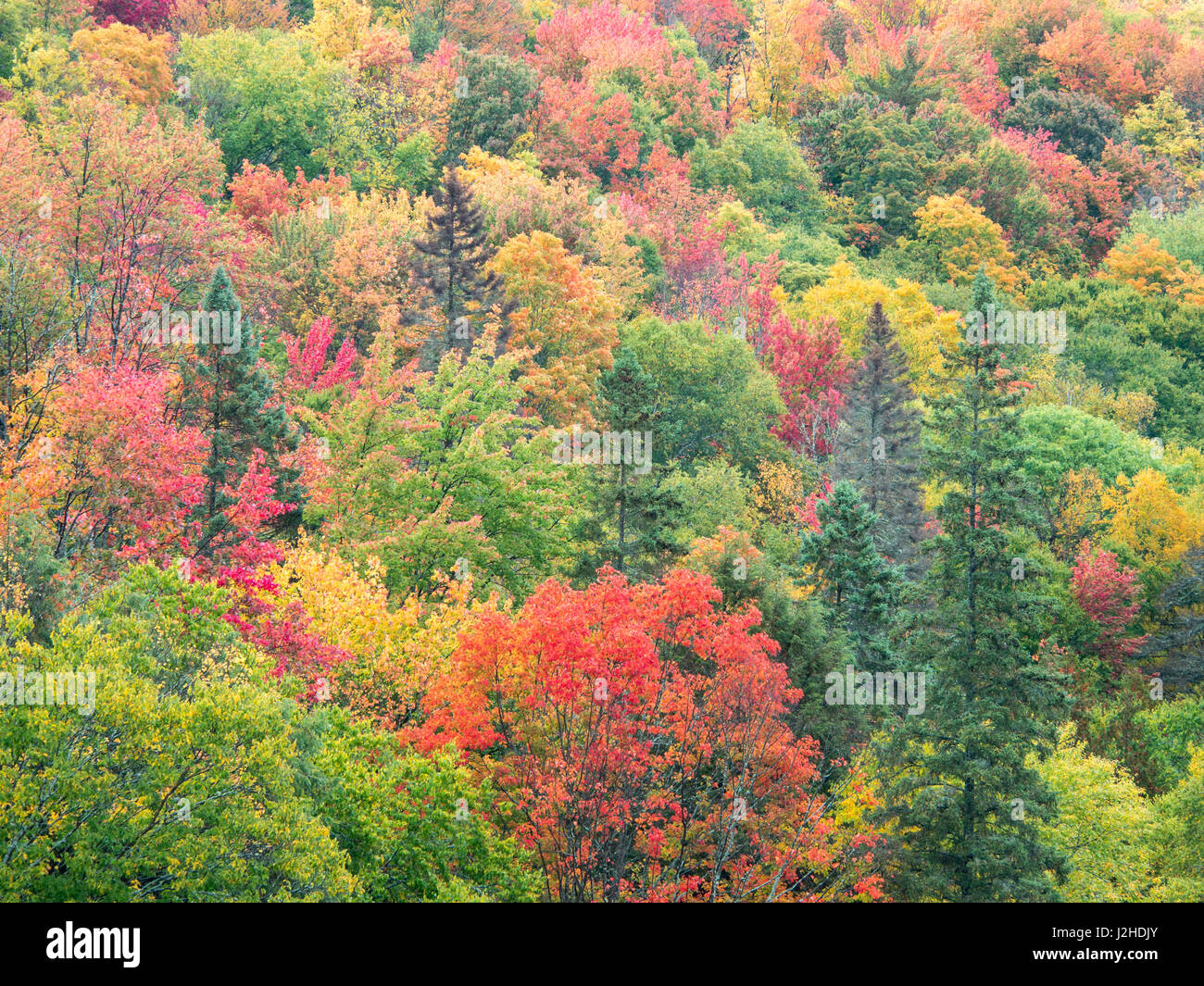 USA, Michigan, Upper Peninsula. Valley below the Cut River Bridge with ...