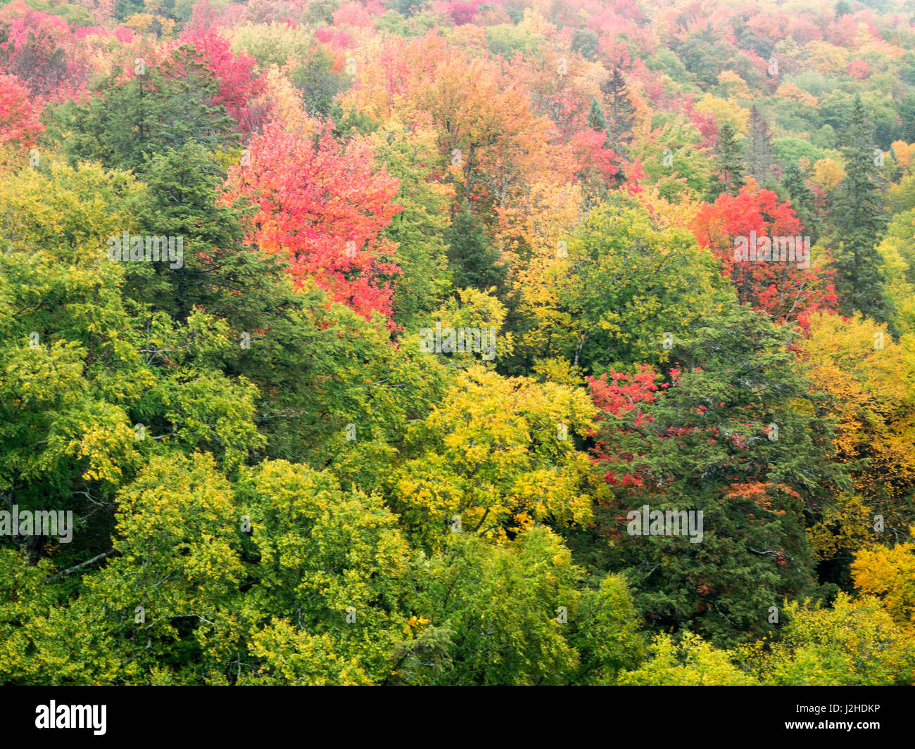 USA, Michigan, Upper Peninsula. Valley below the Cut River Bridge with ...