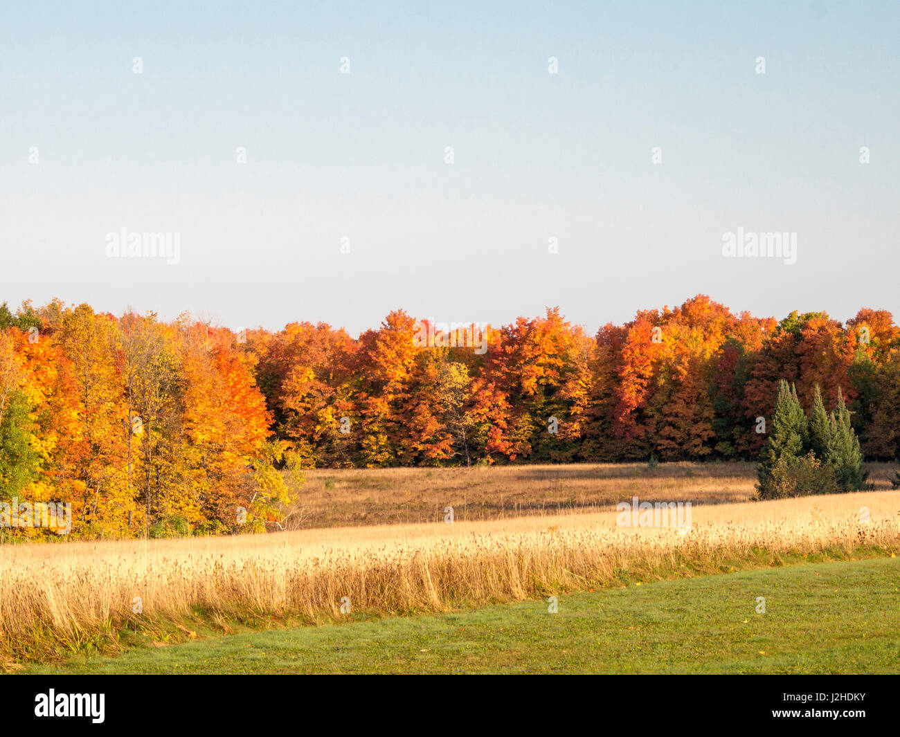 USA, Michigan, Upper Peninsula. Fall colors in Hiawatha National Forest ...