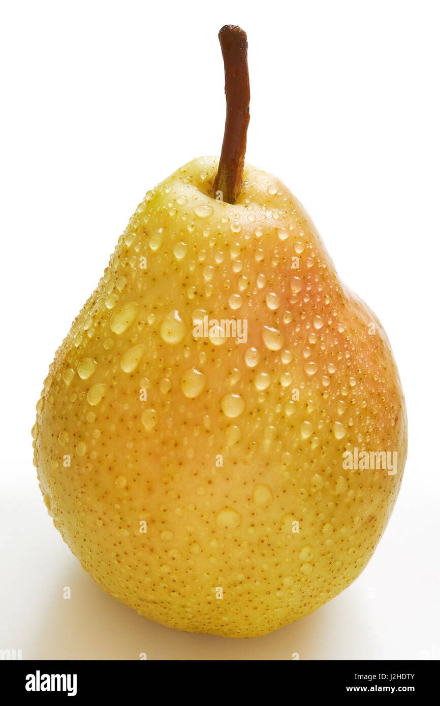 One fresh williams pear (bartlett pear) isolated on white background ...