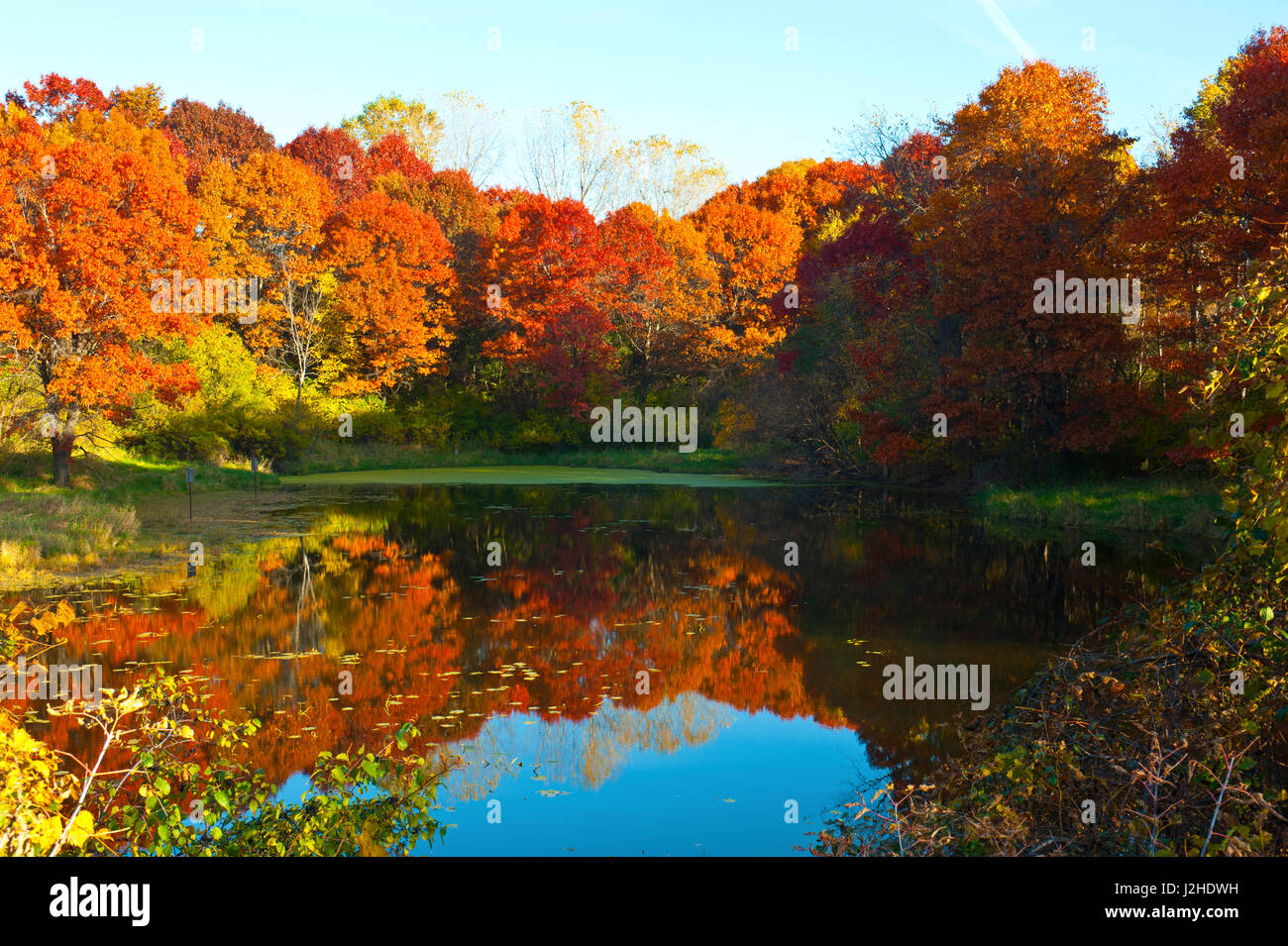 USA, Minnesota, Sunfish Lake, Fall Color reflected in pond Stock Photo ...
