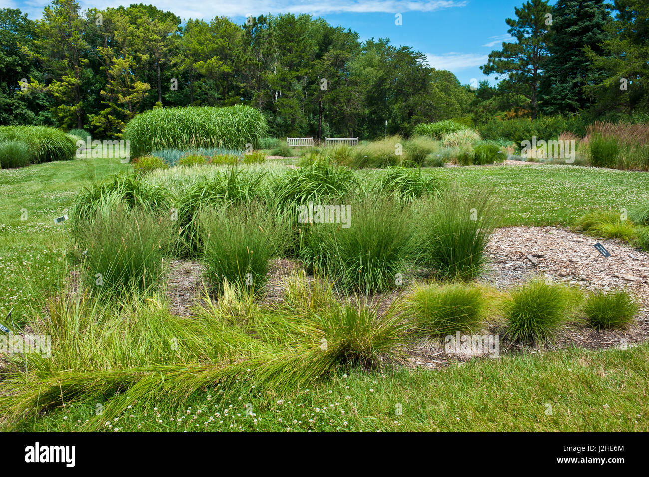 USA, Minnesota, Chaska, Minnesota Landscape Arboretum, Ornamental ...