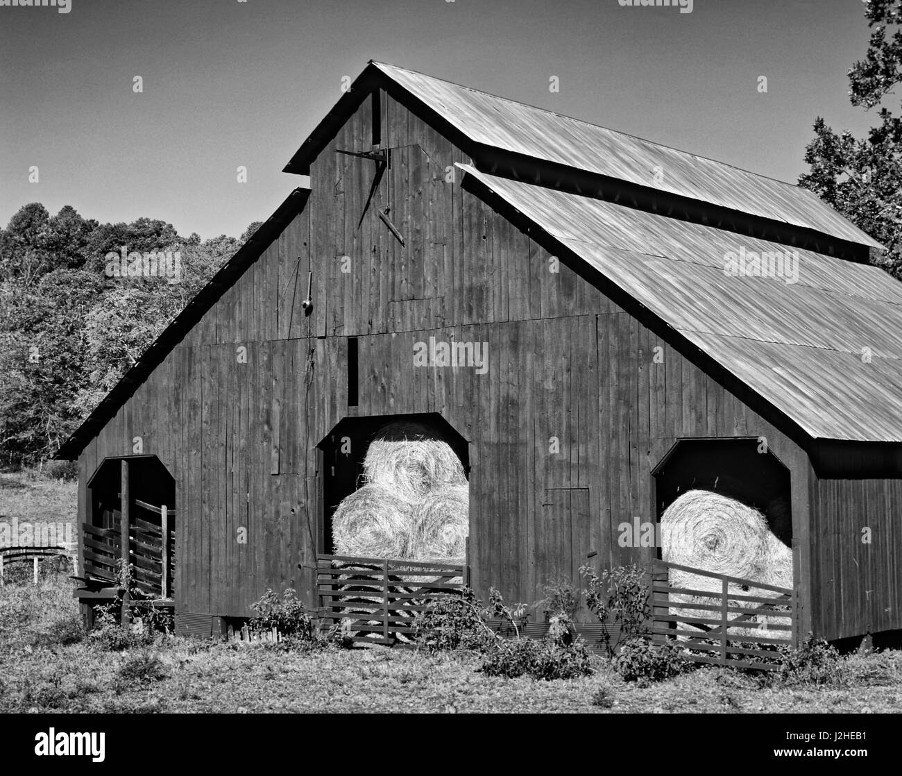 Hay grass Black and White Stock Photos & Images - Alamy