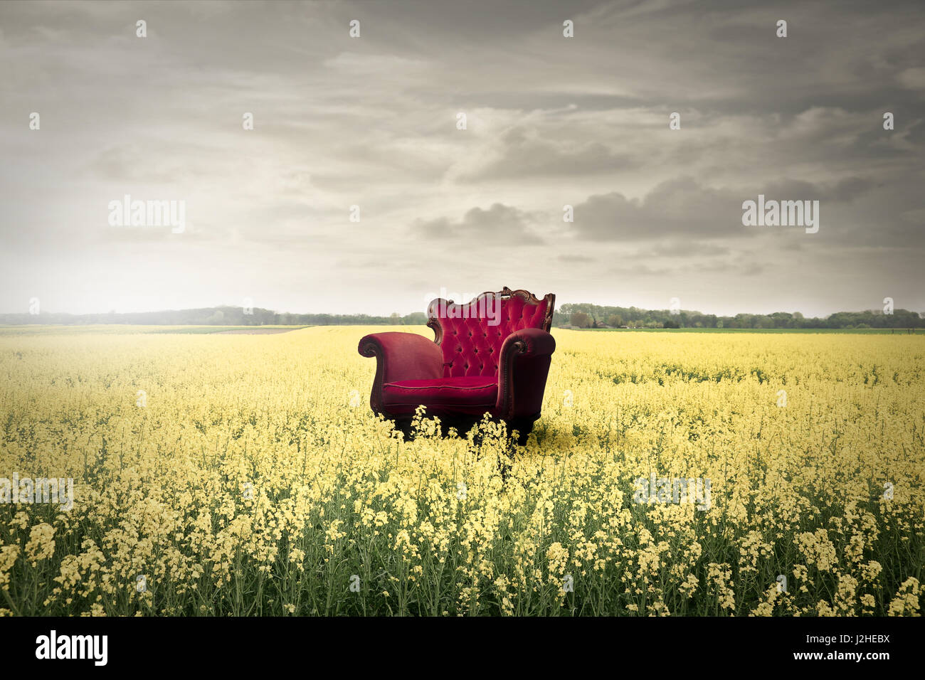 Lonely armchair on field Stock Photo - Alamy