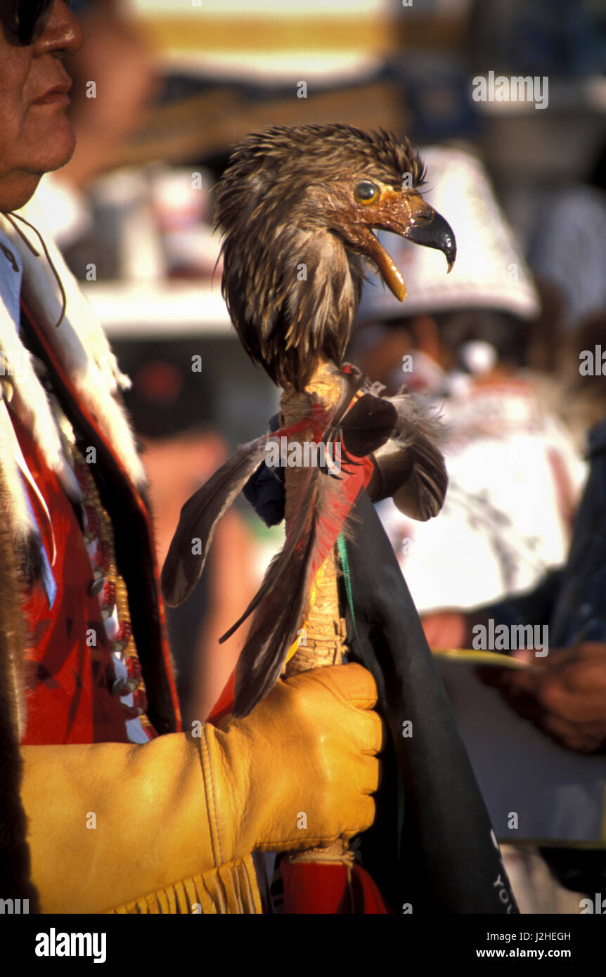 Man holds staff with an eagle head mounted on top at the Blackfeet ...
