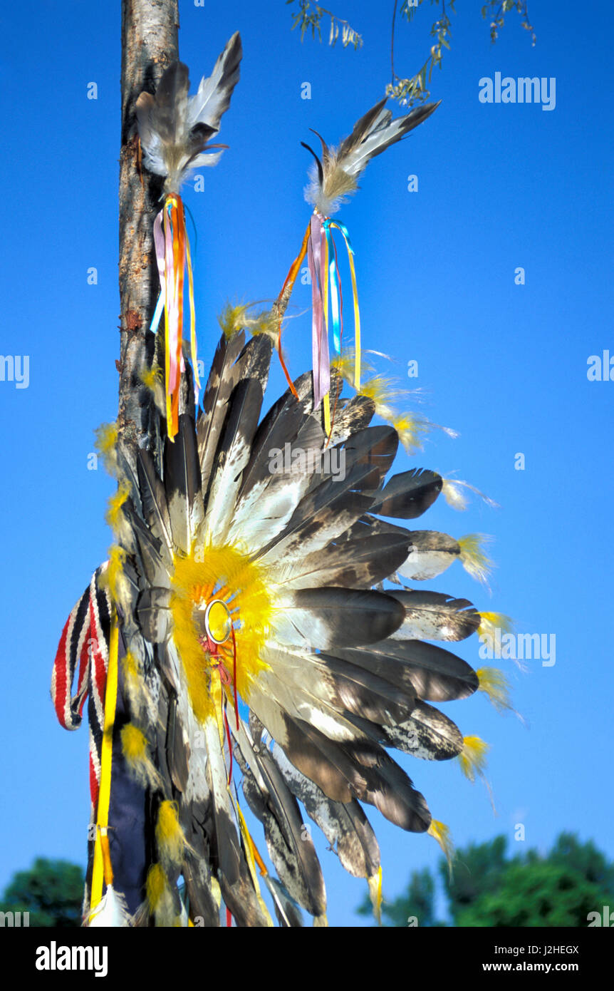 Feather bustle hi-res stock photography and images - Alamy