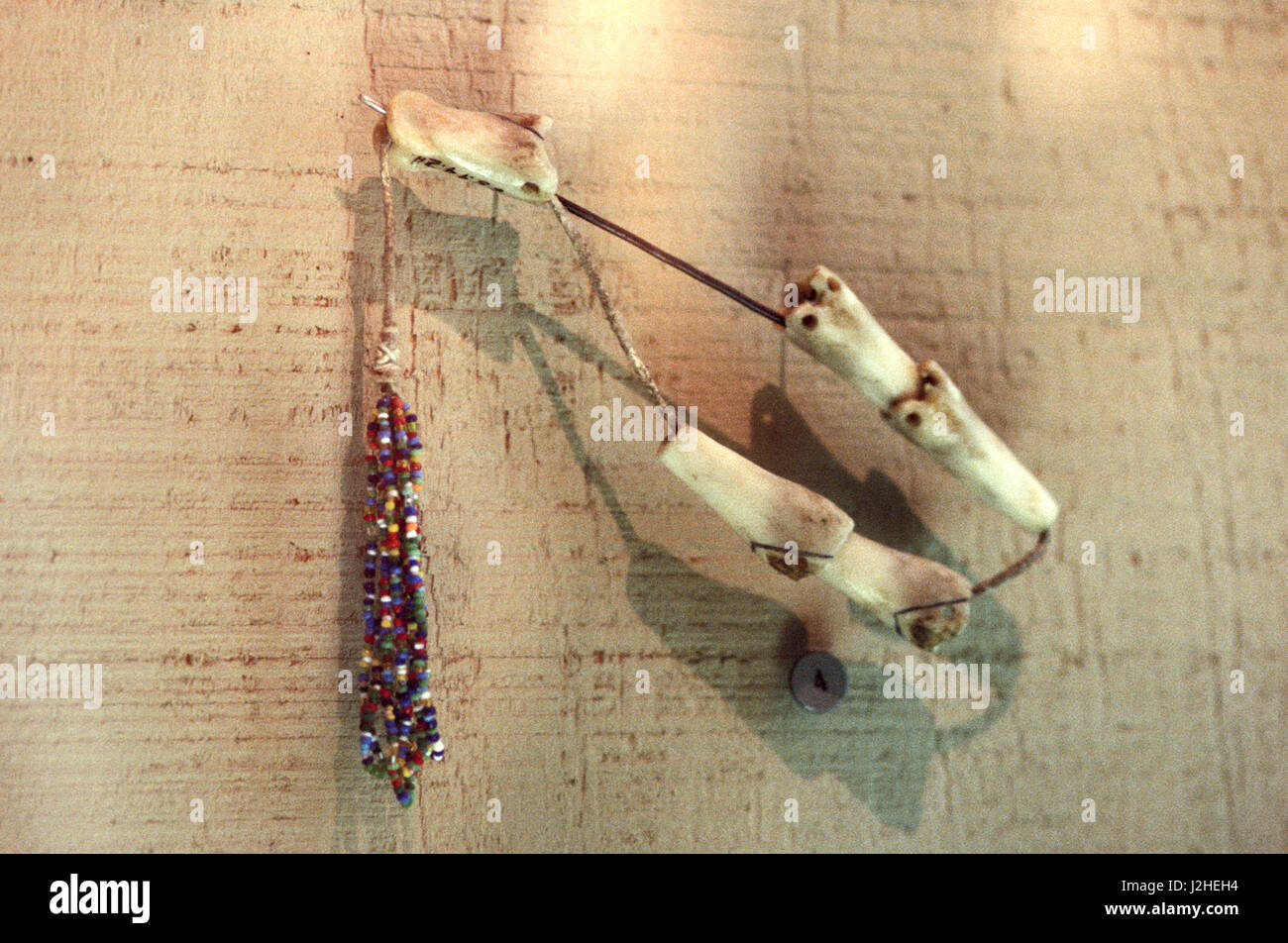 Pin bone hi-res stock photography and images - Alamy