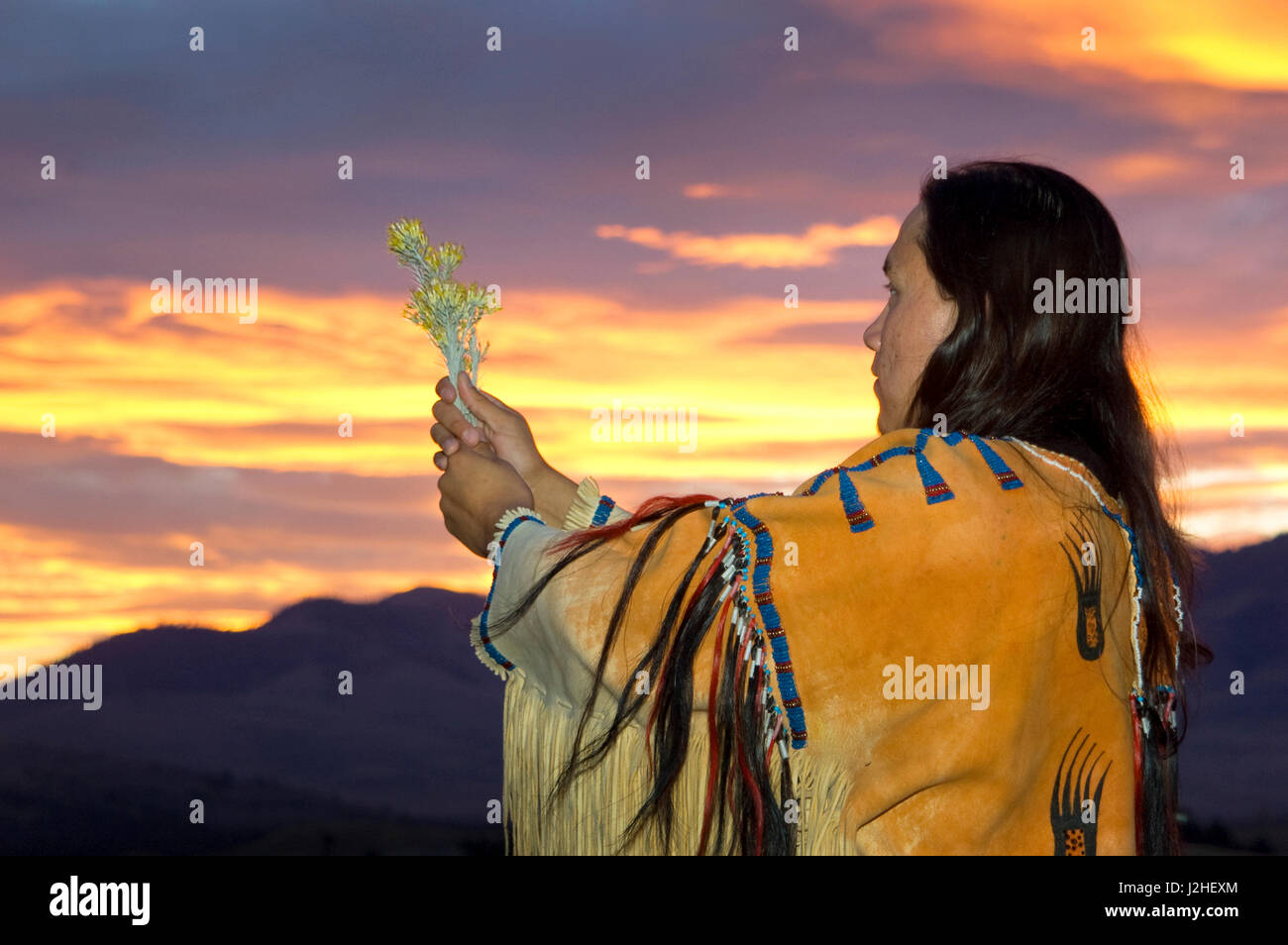 Native american indian medicine man hi-res stock photography and images ...