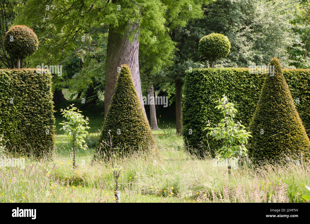Clipped yew ball or sphere hi-res stock photography and images - Alamy