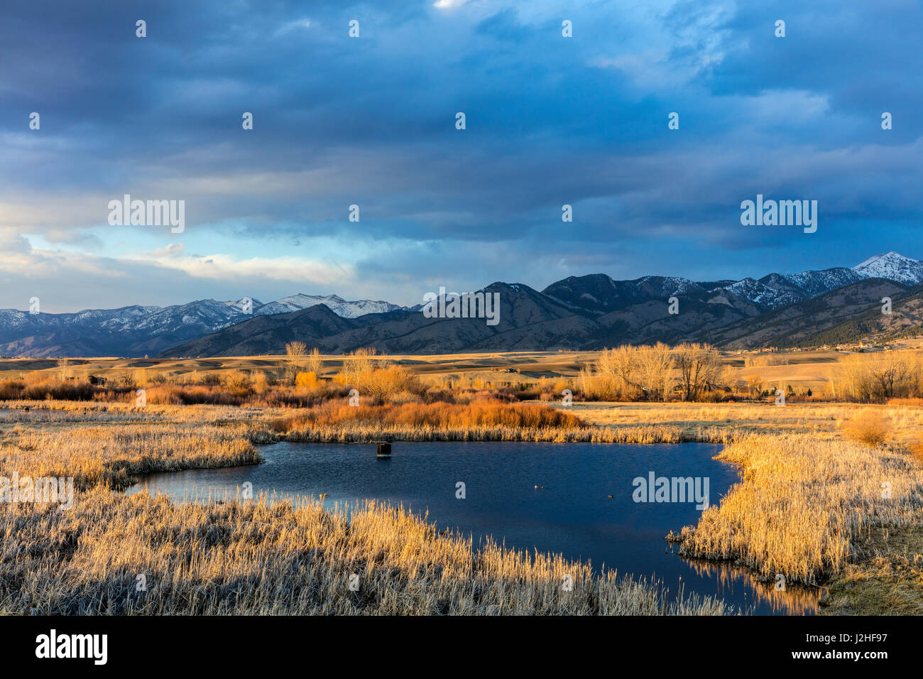 Bridger mountains bozeman montana hi-res stock photography and images ...