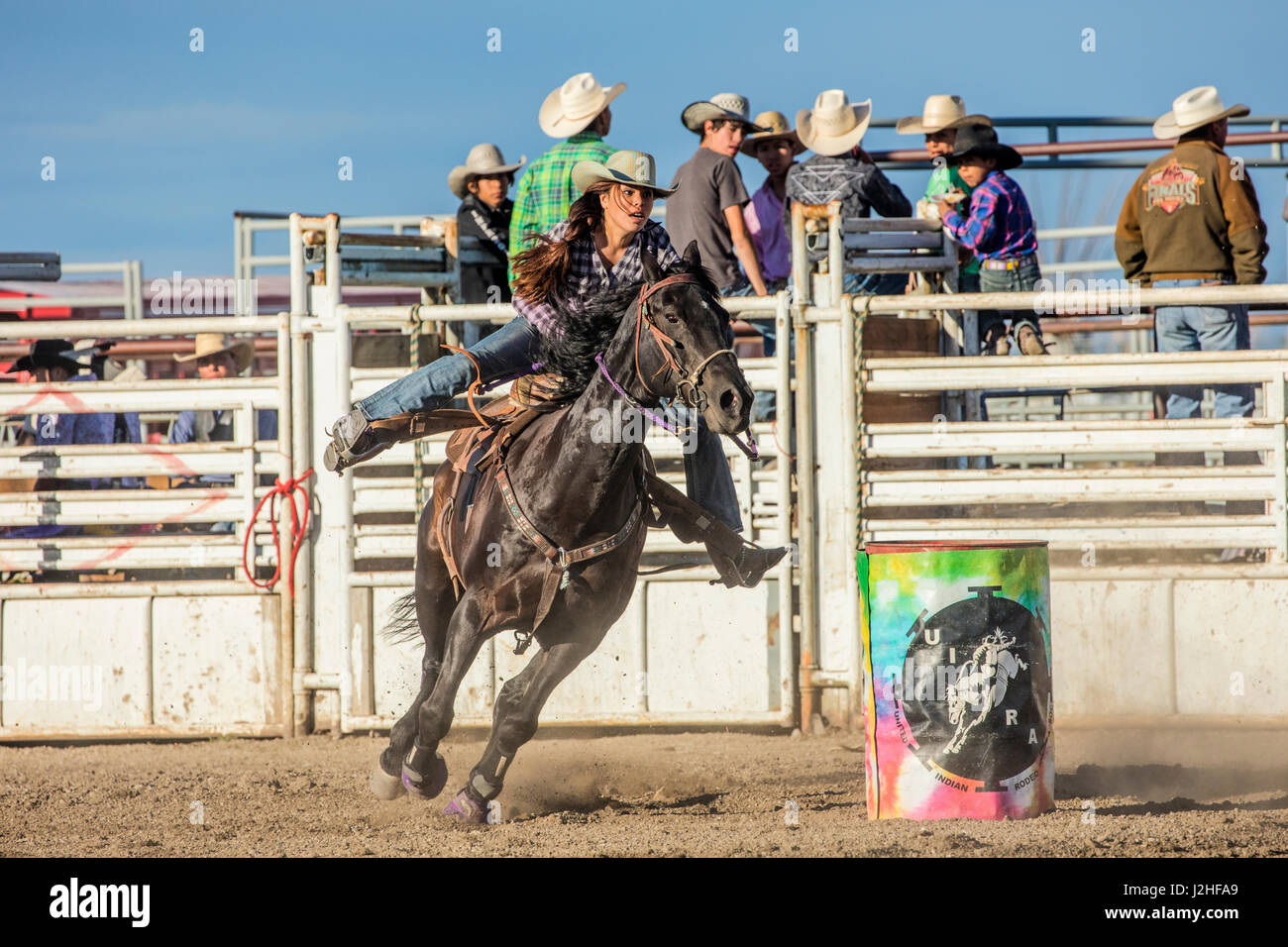 Barrel racing competition at North American Indian Days in Browning ...