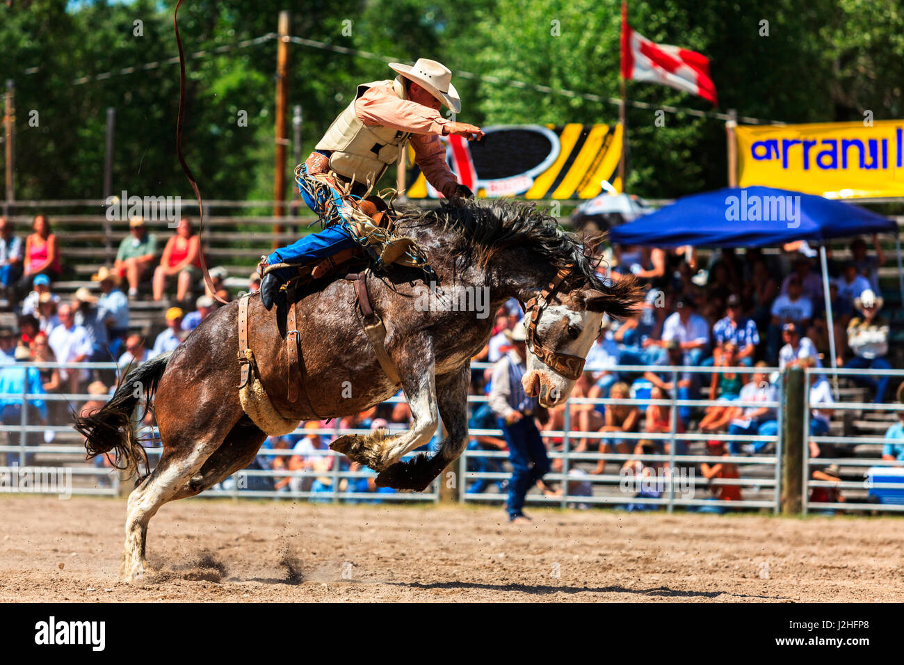 Bucking bronco and rider hi-res stock photography and images - Alamy