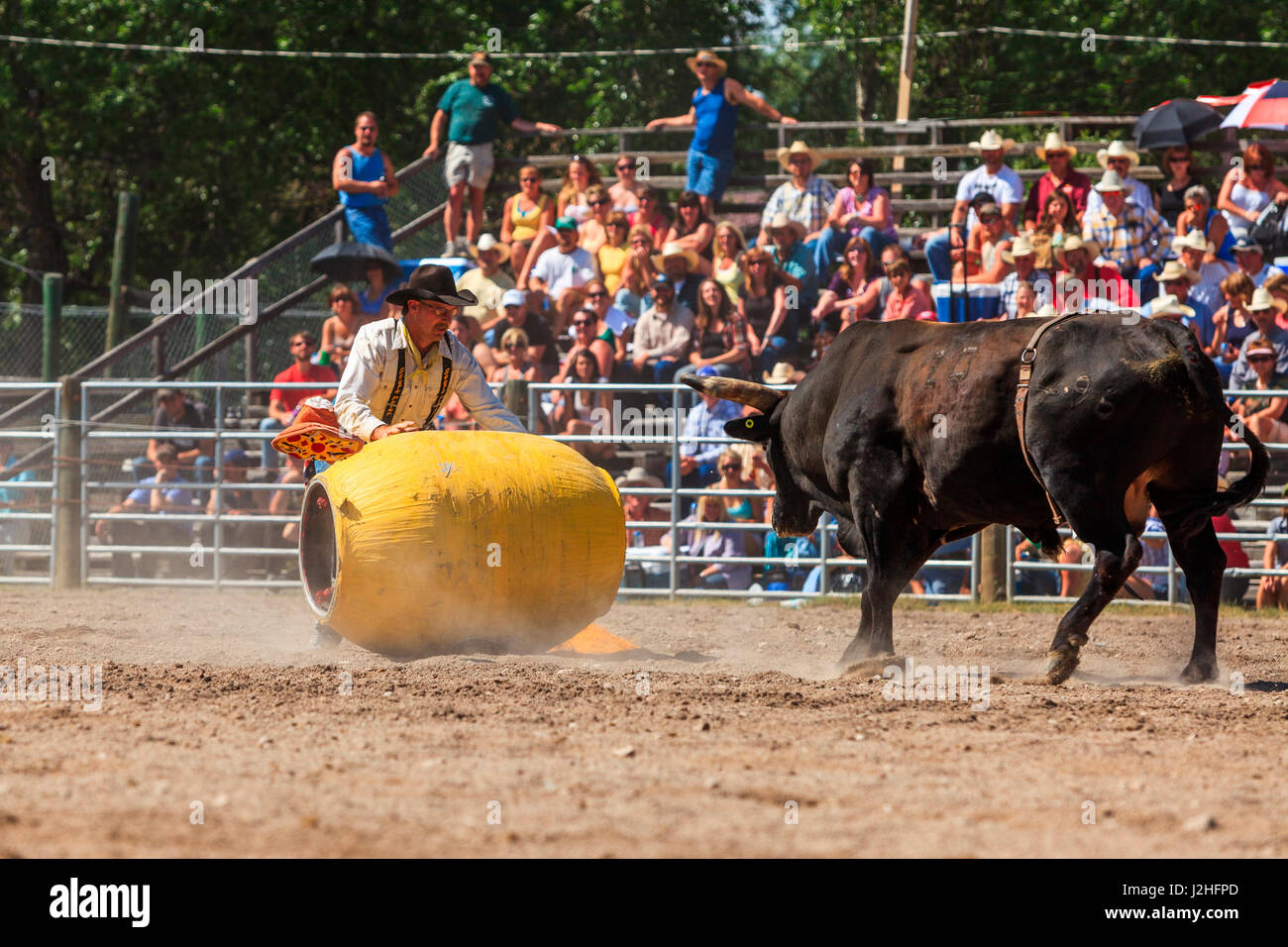 Rodeo clown facing down bull hi-res stock photography and images - Alamy