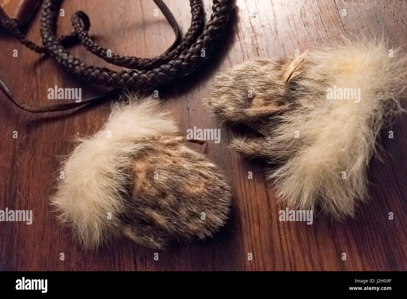 Indigenous mittens hi-res stock photography and images - Alamy