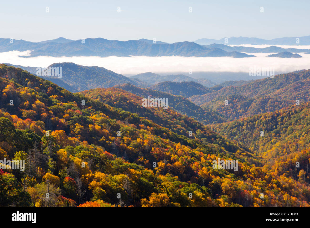 North Carolina, Great Smoky Mountains National Park, view from Newfound ...