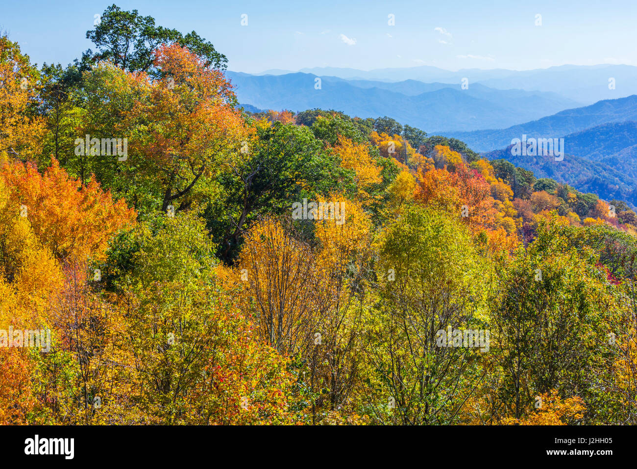 North Carolina, Great Smoky Mountains National Park, view from Newfound ...