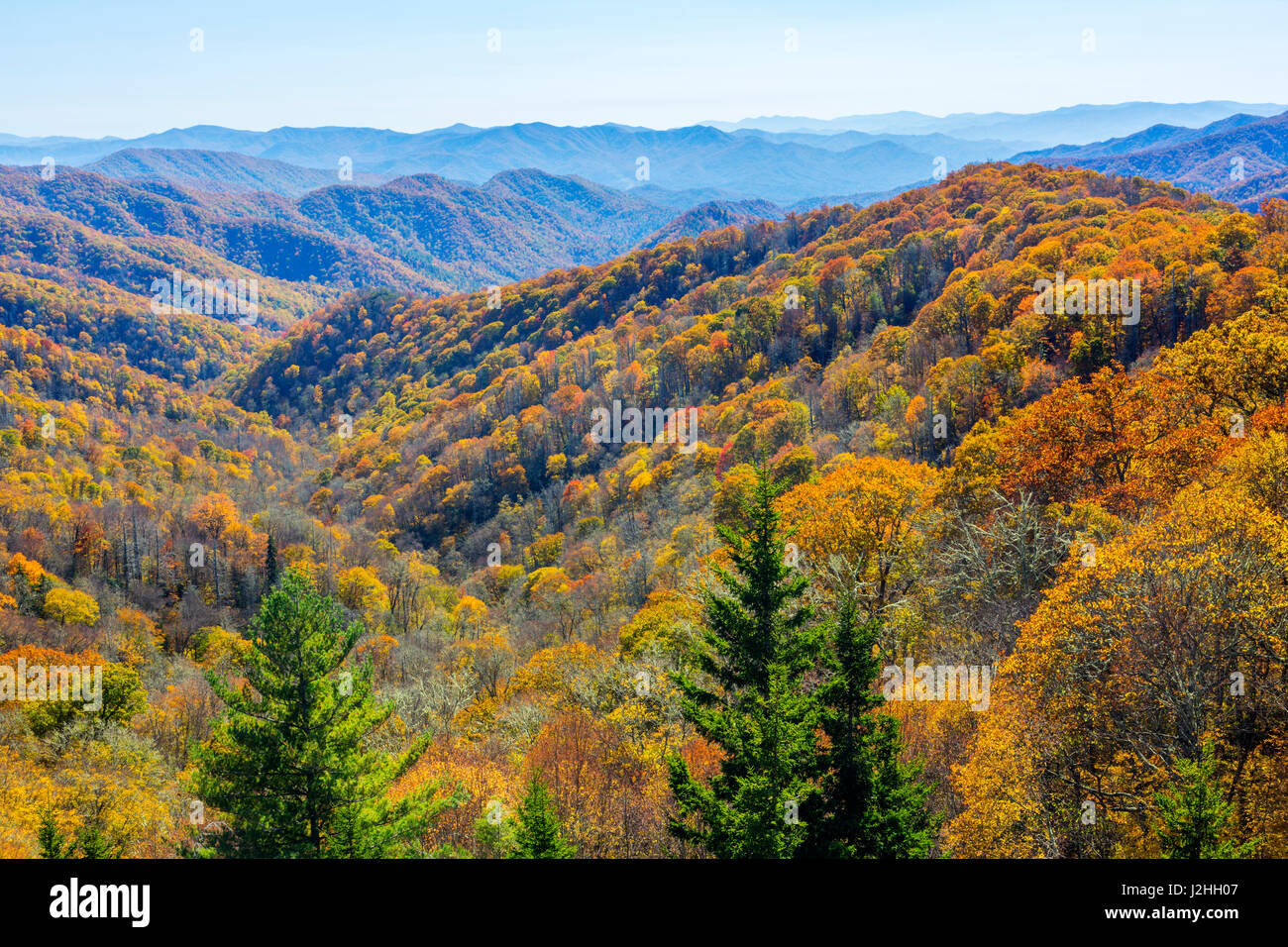 North Carolina, Great Smoky Mountains National Park, view from Newfound ...