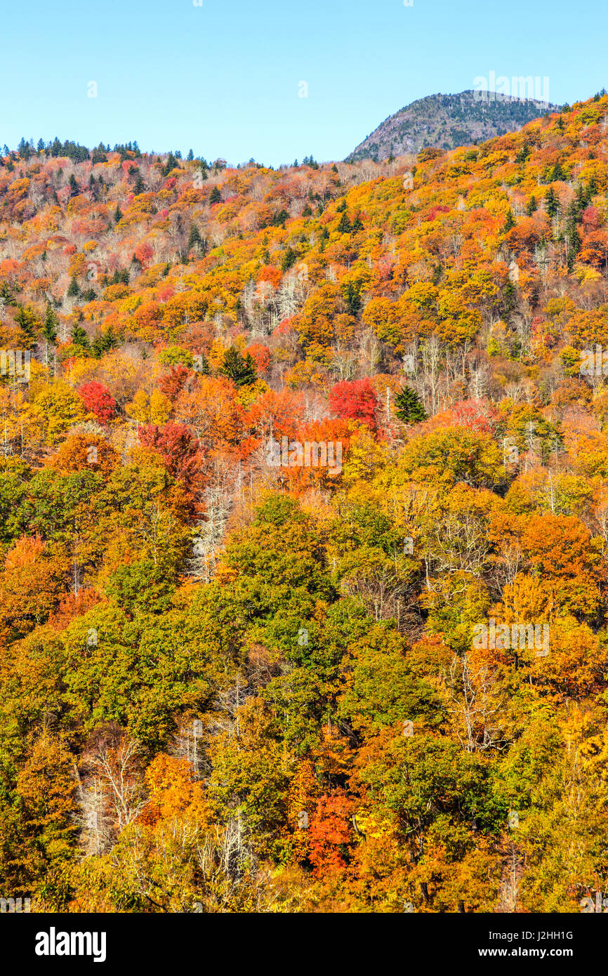 North Carolina, Blue Ridge Parkway, Ridge Junction Overlook area Stock ...
