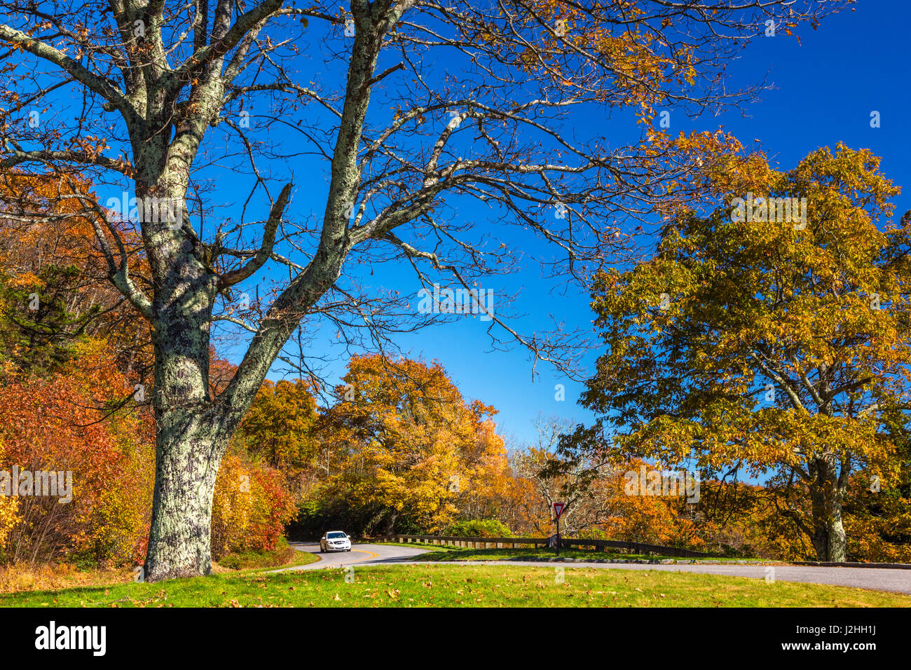North Carolina, Blue Ridge Parkway, Green Knob Overlook area Stock ...