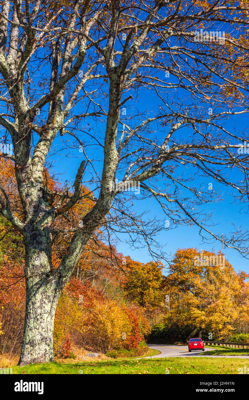 North Carolina, Blue Ridge Parkway, Green Knob Overlook area Stock ...