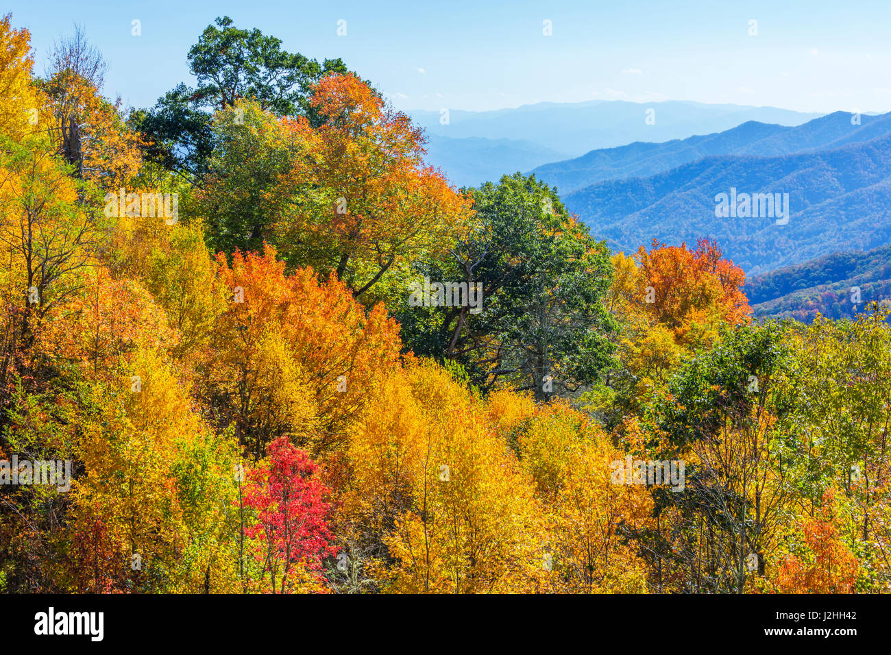North Carolina, Great Smoky Mountains National Park, view from Newfound ...
