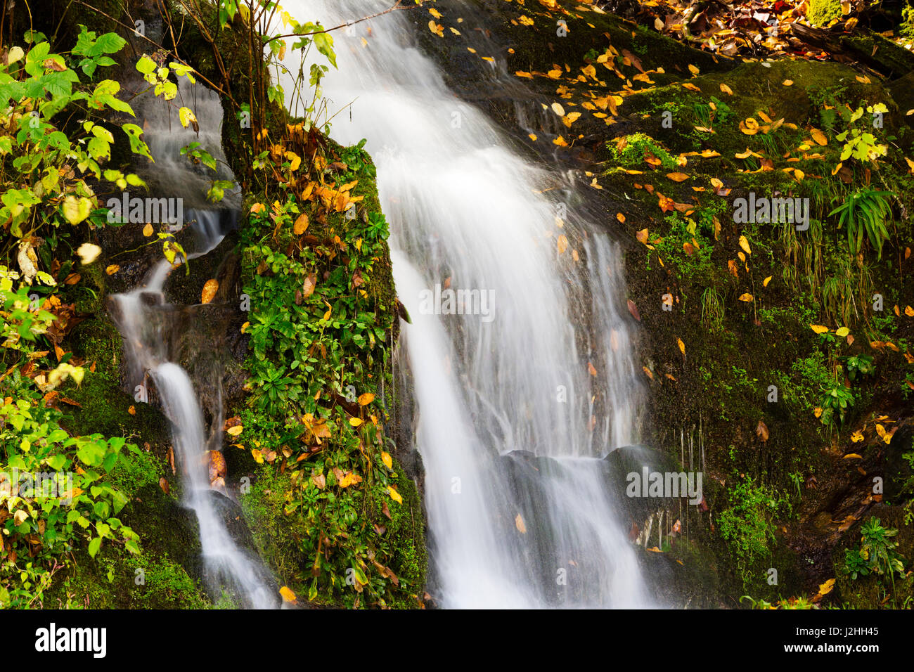 North Carolina, Great Smoky Mountains National Park, view from Newfound ...