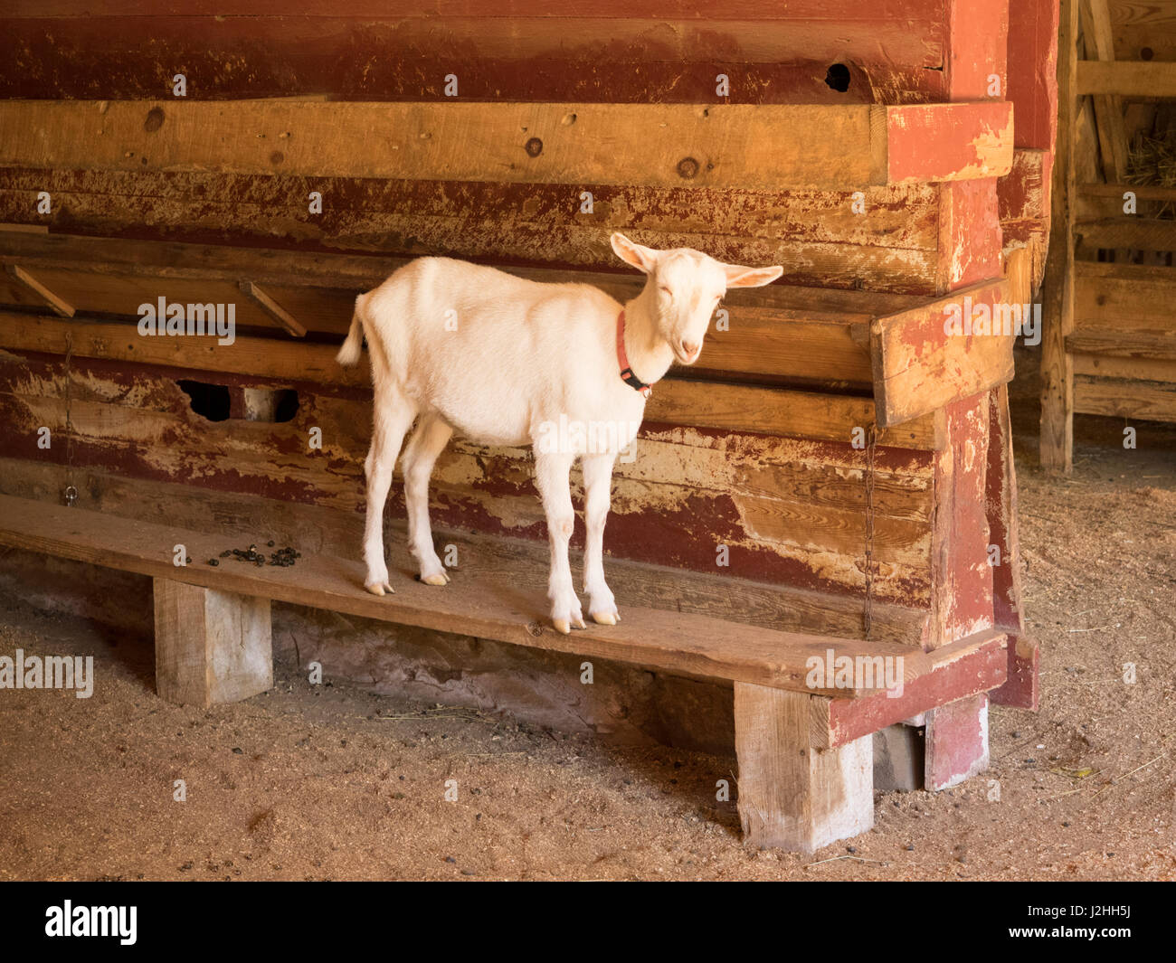 North Carolina, Flat Rock, Carl Sandburg Home, National Historic Site ...