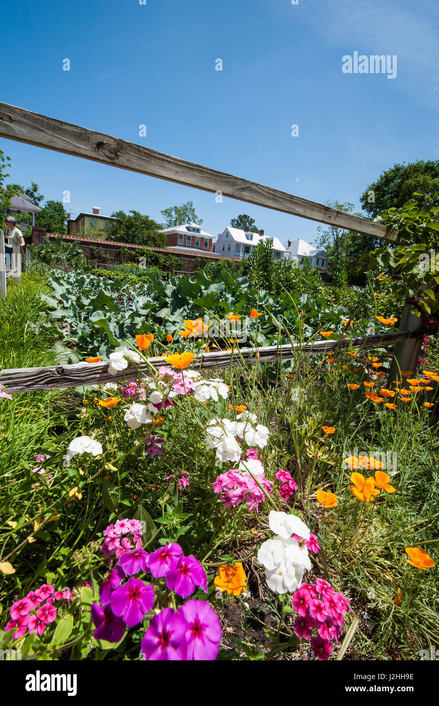 Tryon palace and gardens hi-res stock photography and images - Alamy