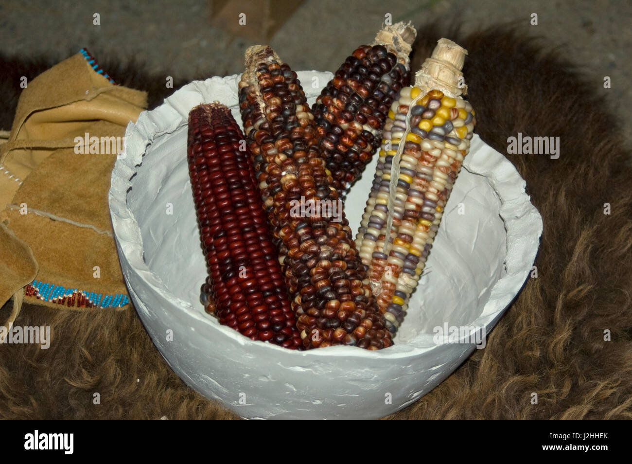 The Mandan, Hidatsa and Arikara Indians grew gardens in their village ...