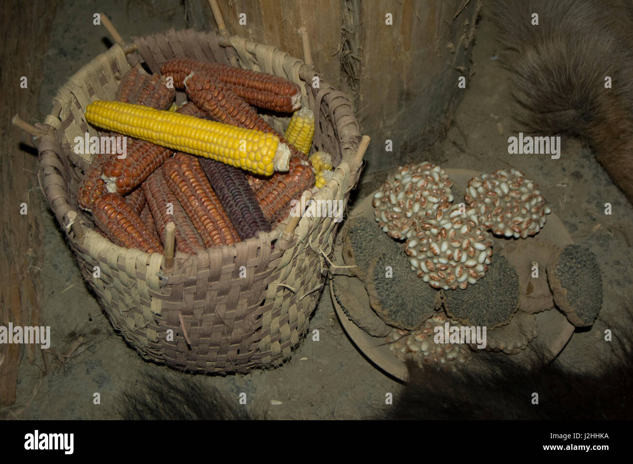 Mandan hidatsa hi-res stock photography and images - Alamy