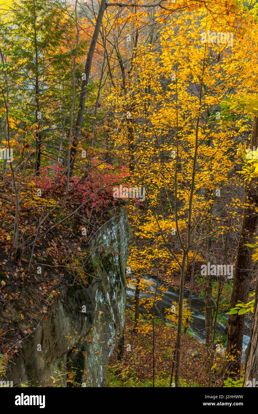 Brandywine Creek Gorge in autumn in Cuyahoga National Park, Ohio, USA ...