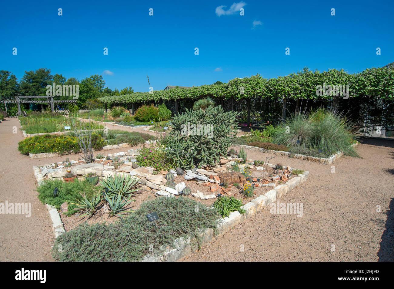 Theme Garden, Lady Bird Johnson Wildflower Center, Austin, Texas, Usa ...