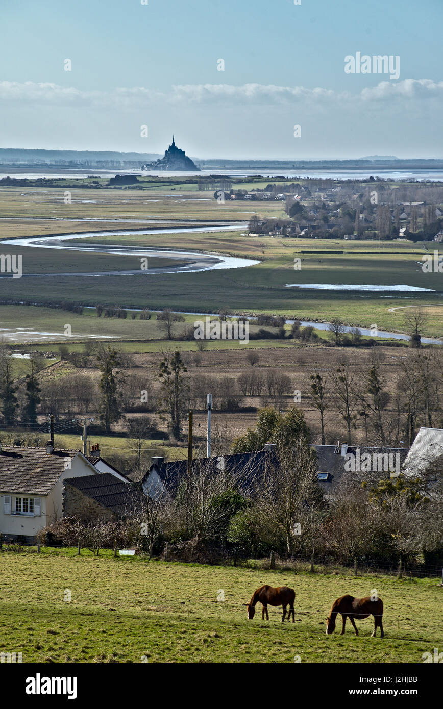 Countryside at Mont Saint Michel, Normandy, France. Two horses at the ...