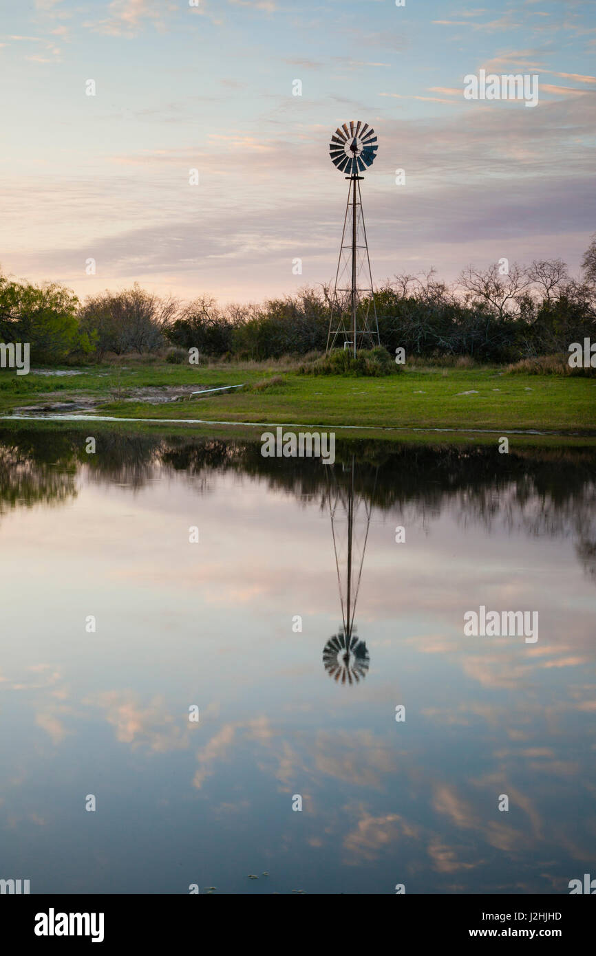 Windmill and pond on Texas ranch Stock Photo - Alamy