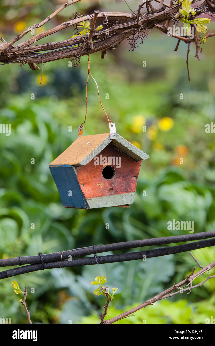 Bird house hanging in garden Stock Photo - Alamy
