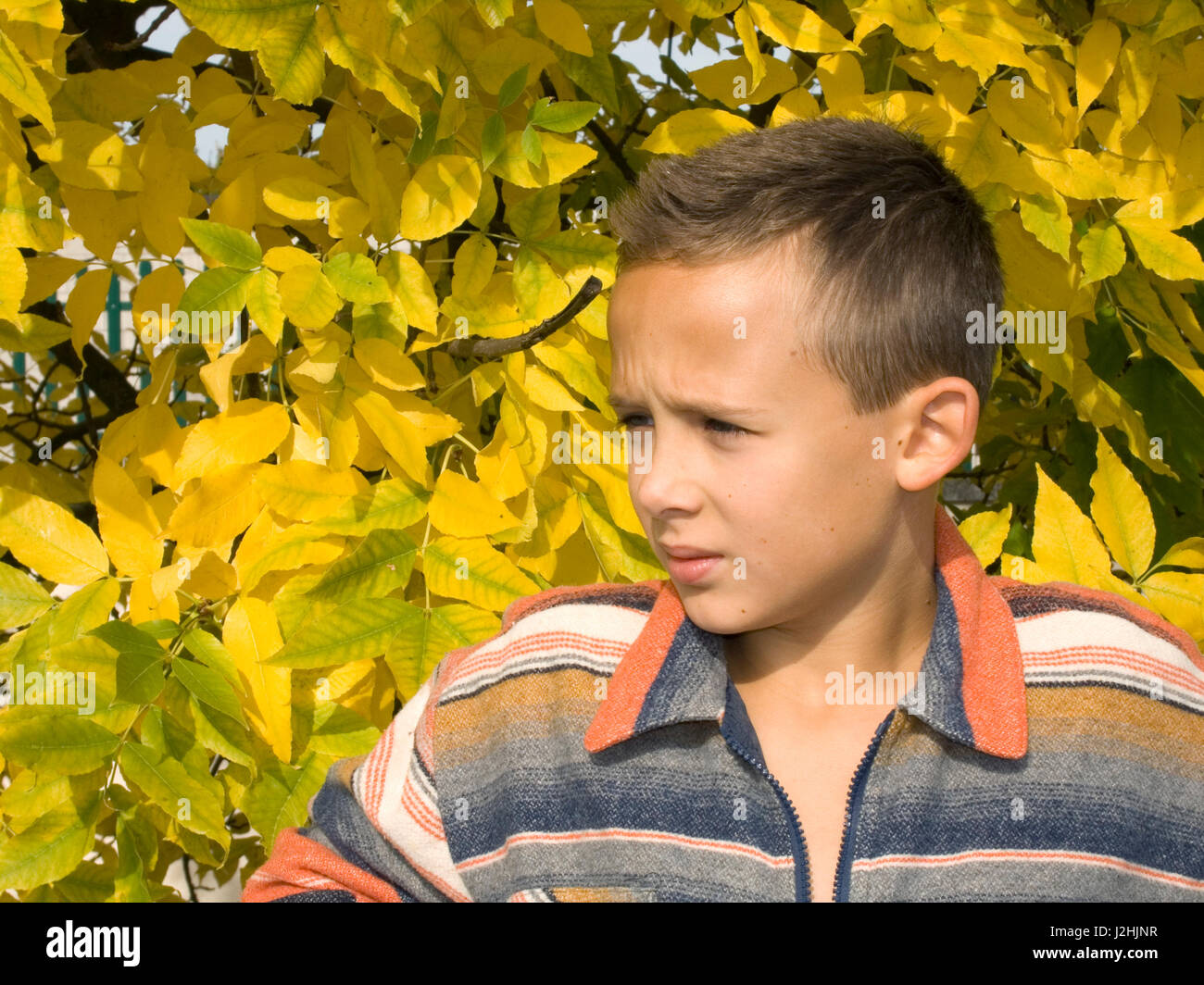 Boy Against Tree Stock Photo - Alamy