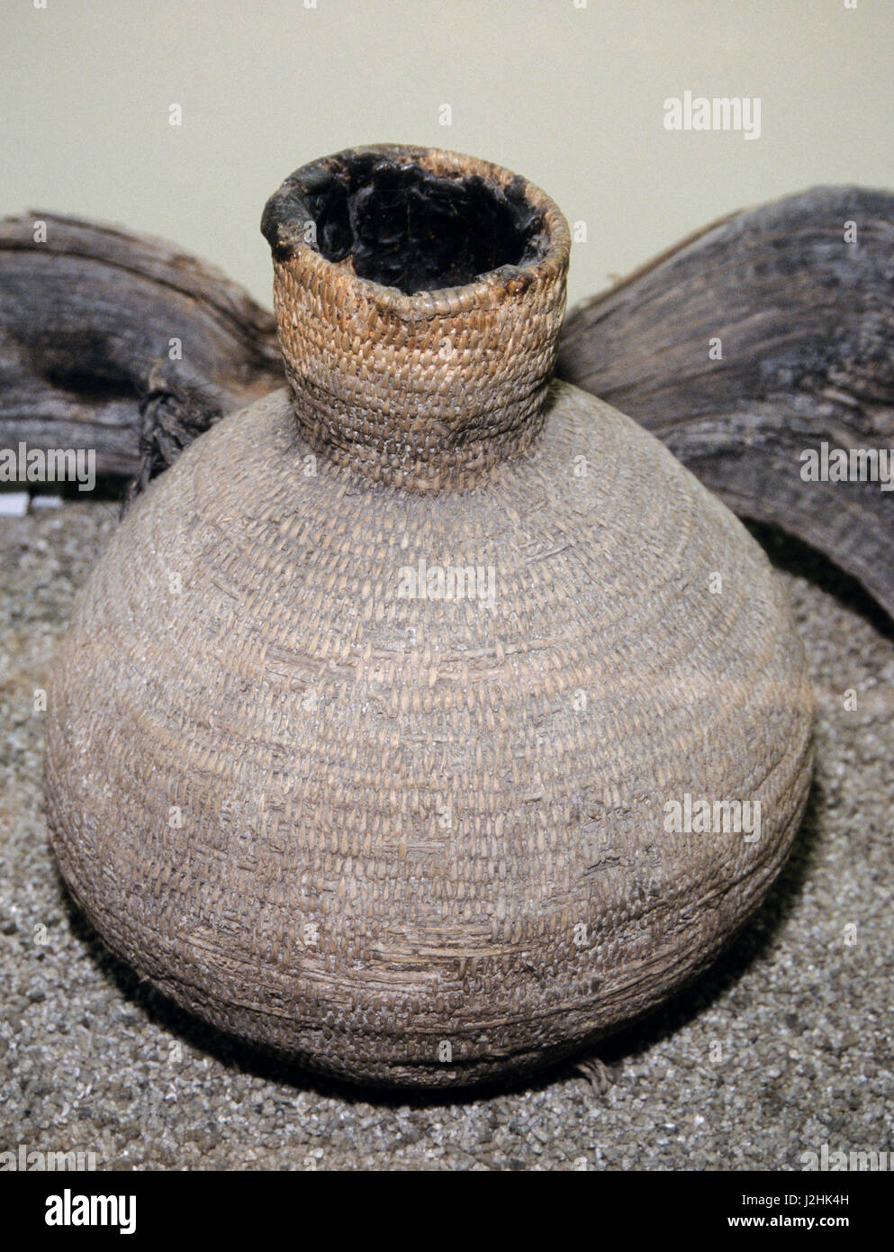 Ute Indian pine pitch basket used as a canteen to store water in the ...