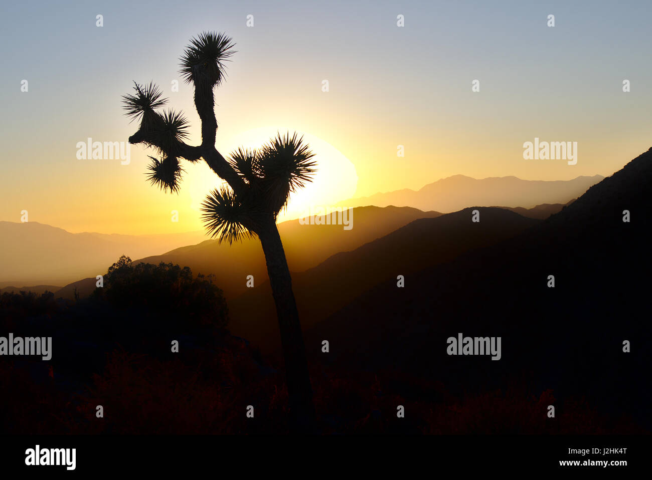 Parc national de joshua tree hi-res stock photography and images - Alamy