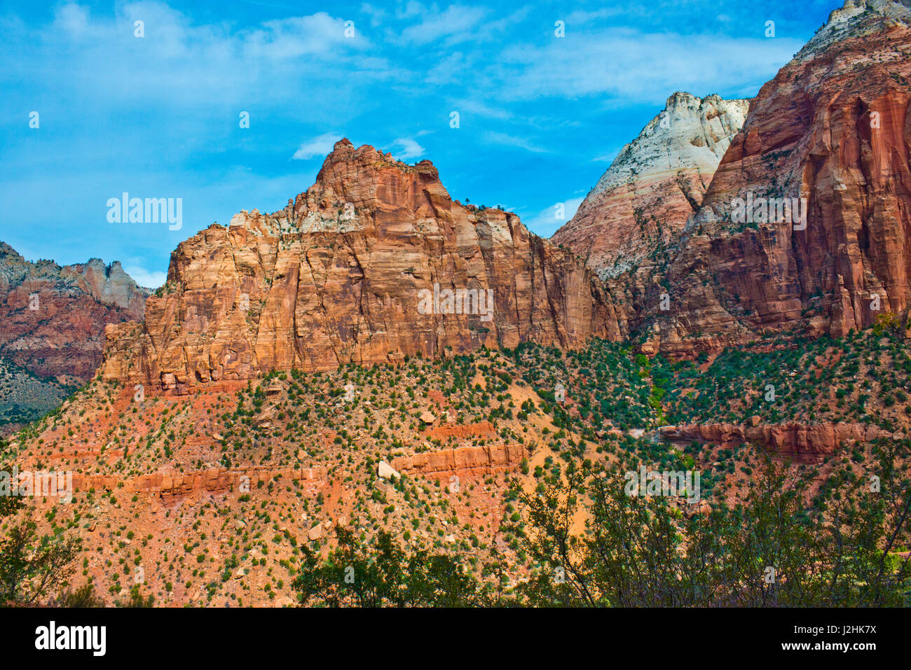 USA, Utah, Zion National Park. Along the switchbacks (Large format ...