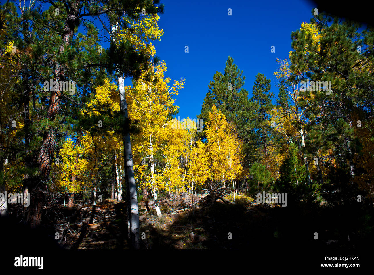 USA, Utah, Boulder, Escalante, Box-Death Hollow Wilderness, Vistas from ...