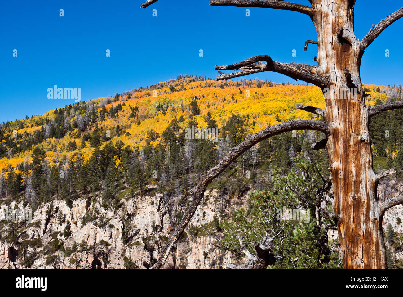 USA, Utah, Boulder, Escalante, Box-Death Hollow Wilderness, Vistas from ...