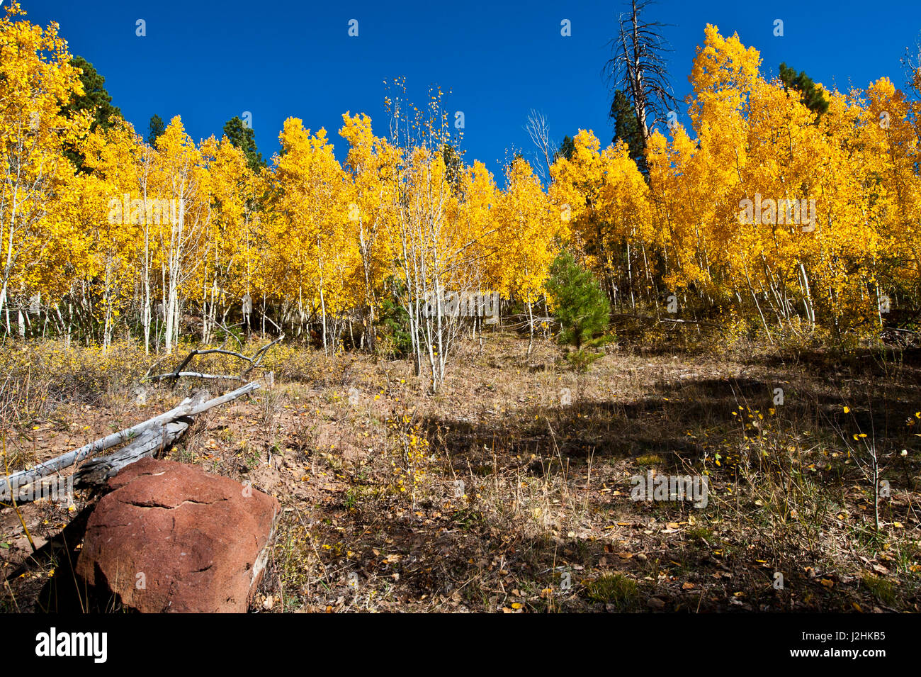 USA, Utah, Boulder, Escalante, Box-Death Hollow Wilderness, Vistas from ...