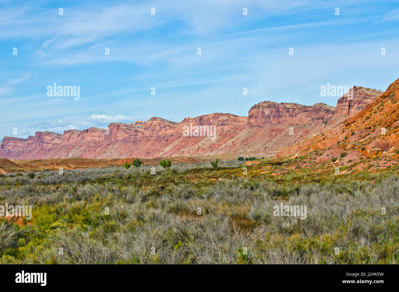 Tritylodon hi-res stock photography and images - Alamy