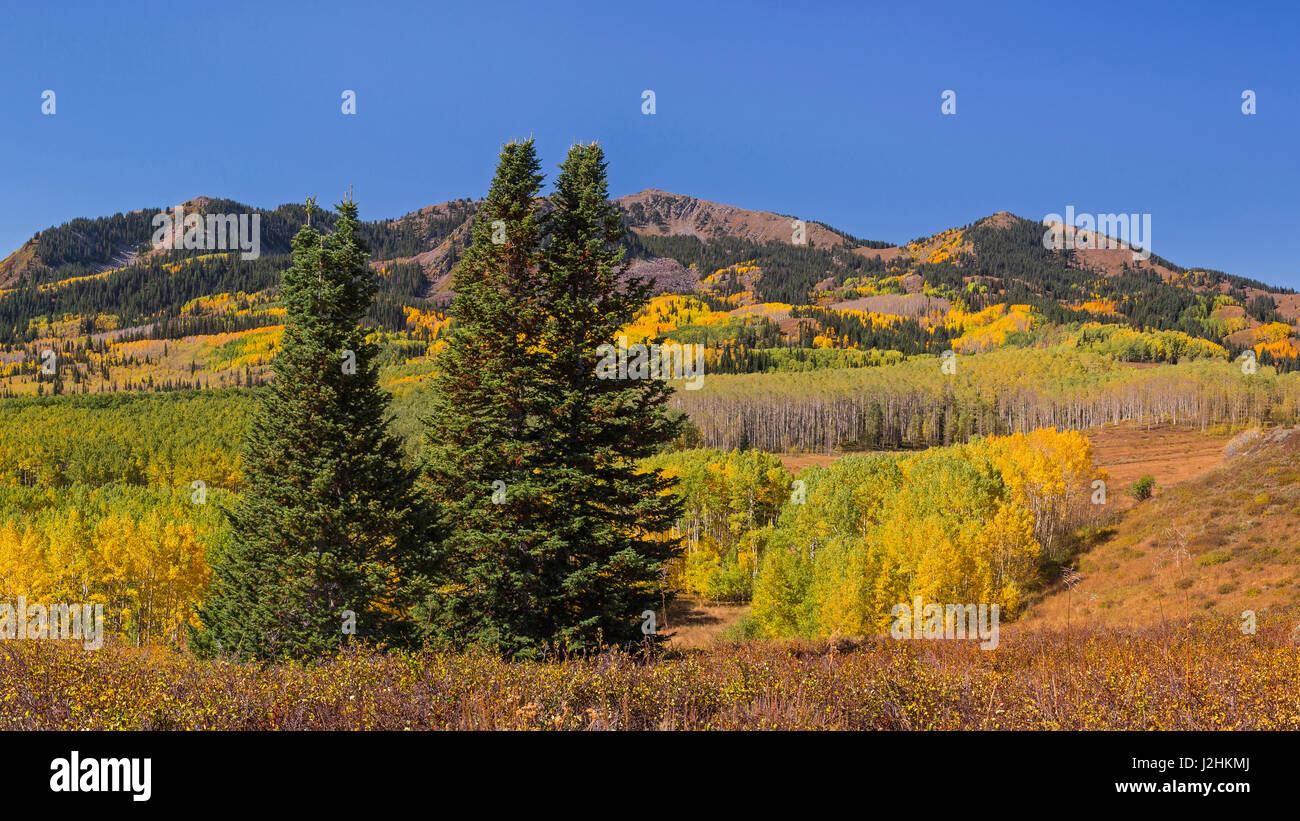 USA, Utah, Wasatch Cache National Forest. Landscape of Big Cottonwood ...
