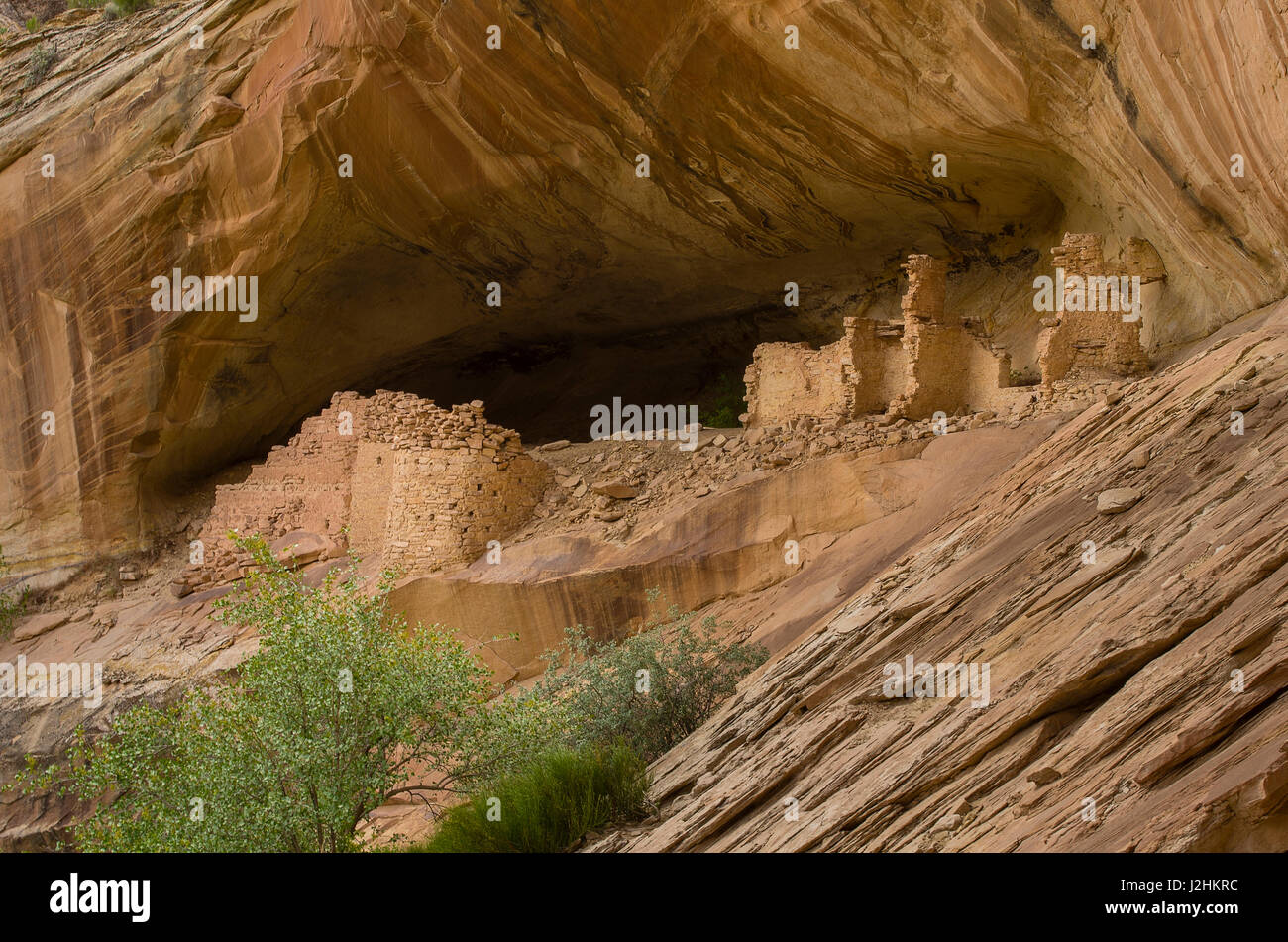 Monarch cave ruin butler canyon hi-res stock photography and images - Alamy