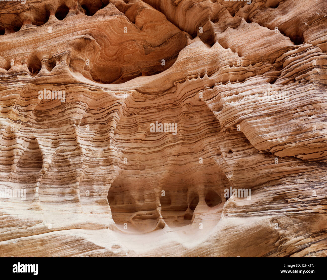 USA, Utah, Zion National Park, Sandstone formation. (Large format sizes ...