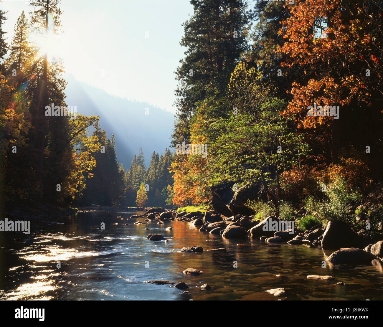 USA, California, Yosemite National Park, Autumn colors reflecting in ...